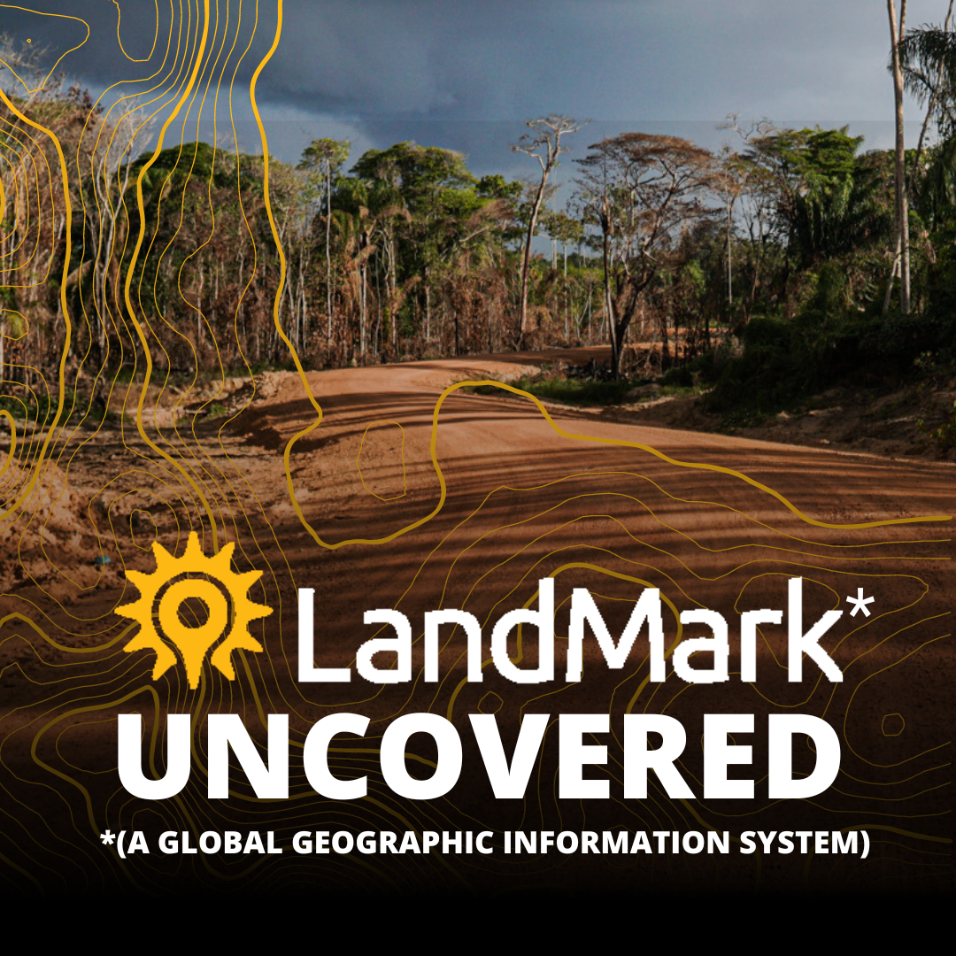 Stand with the Saamaka People from Suriname - Land Rights Now